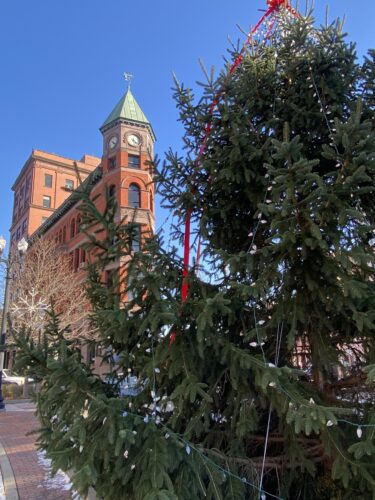 Christmas tree up as panel talks leaves, trees | News, Sports, Jobs ...